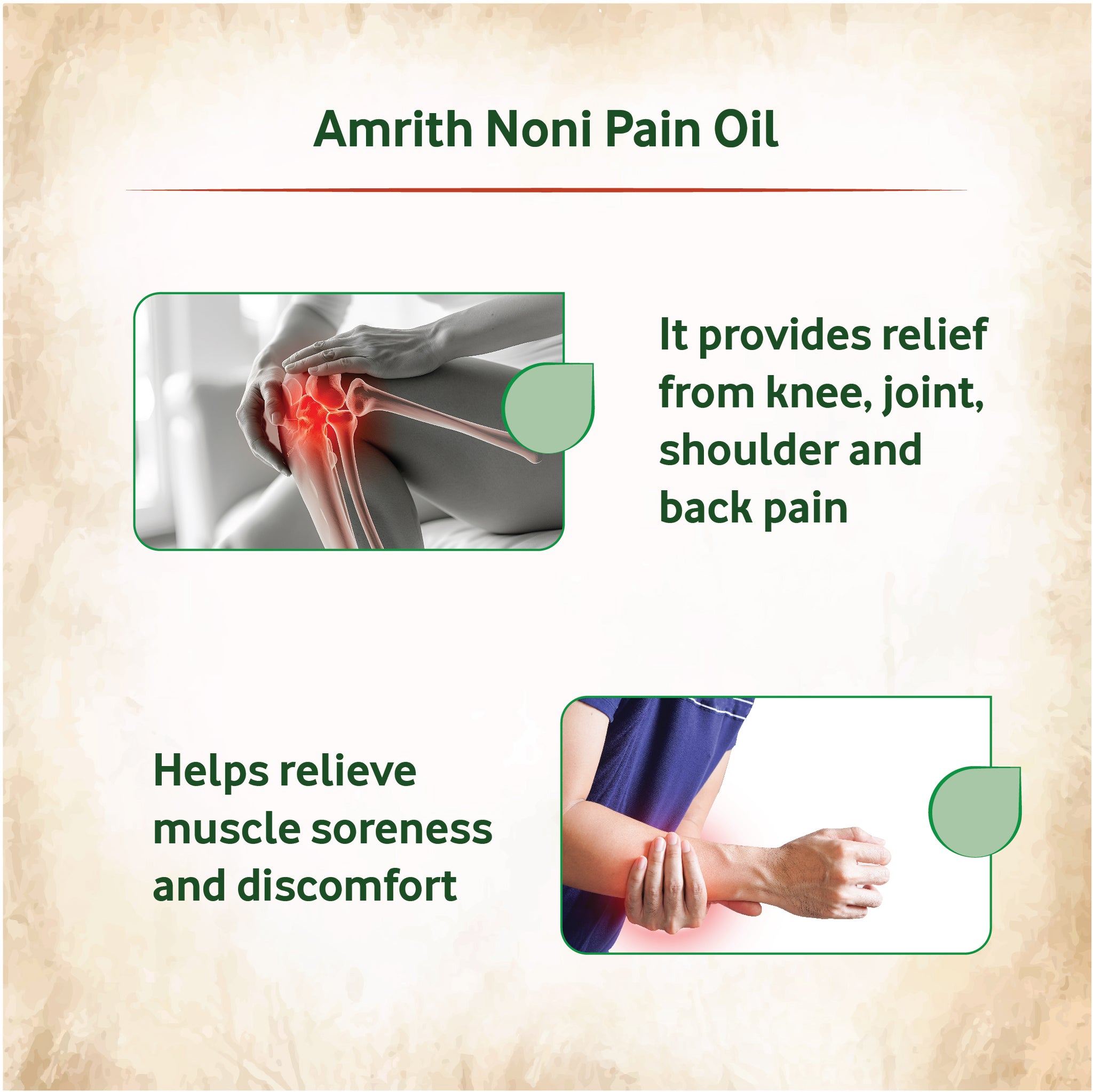 Buy Amrith Noni Pain Oil Online | Ayuvedic Pain Oil at Best Price ...