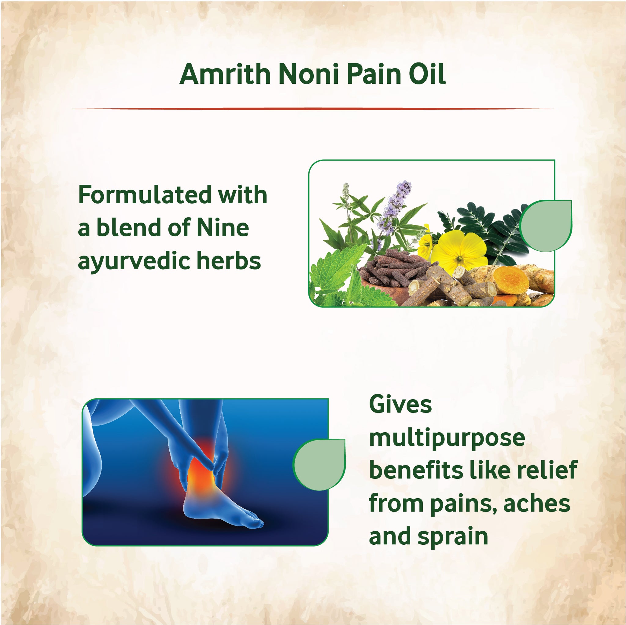 Buy Amrith Noni Pain Oil Online | Ayuvedic Pain Oil at Best Price ...
