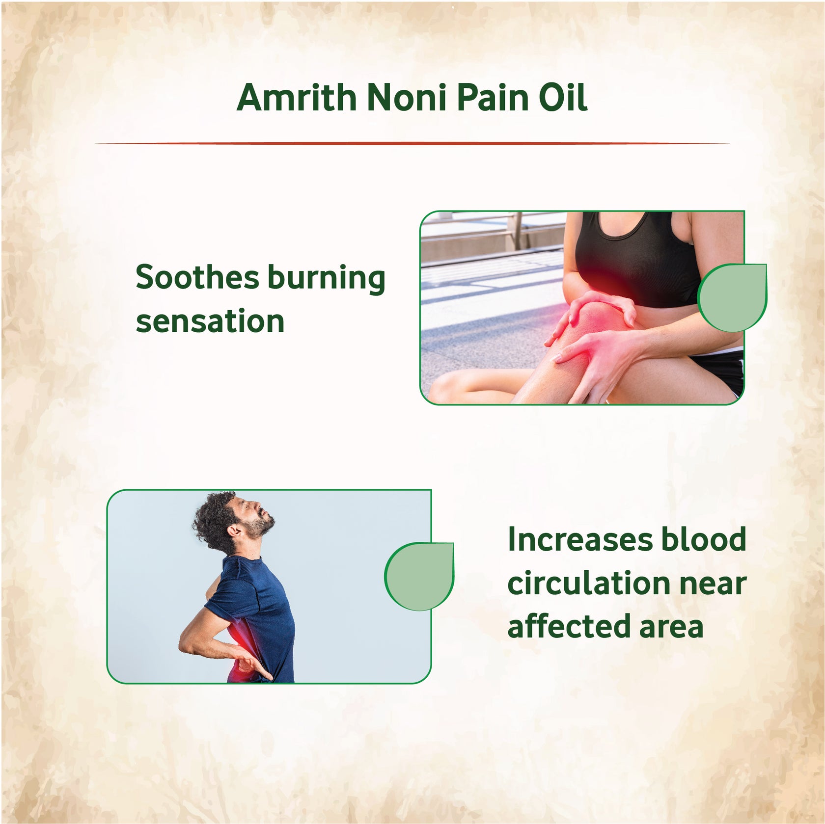 Buy Amrith Noni Pain Oil - Muscle & Joint Care - Pain Relief – amrithnoni
