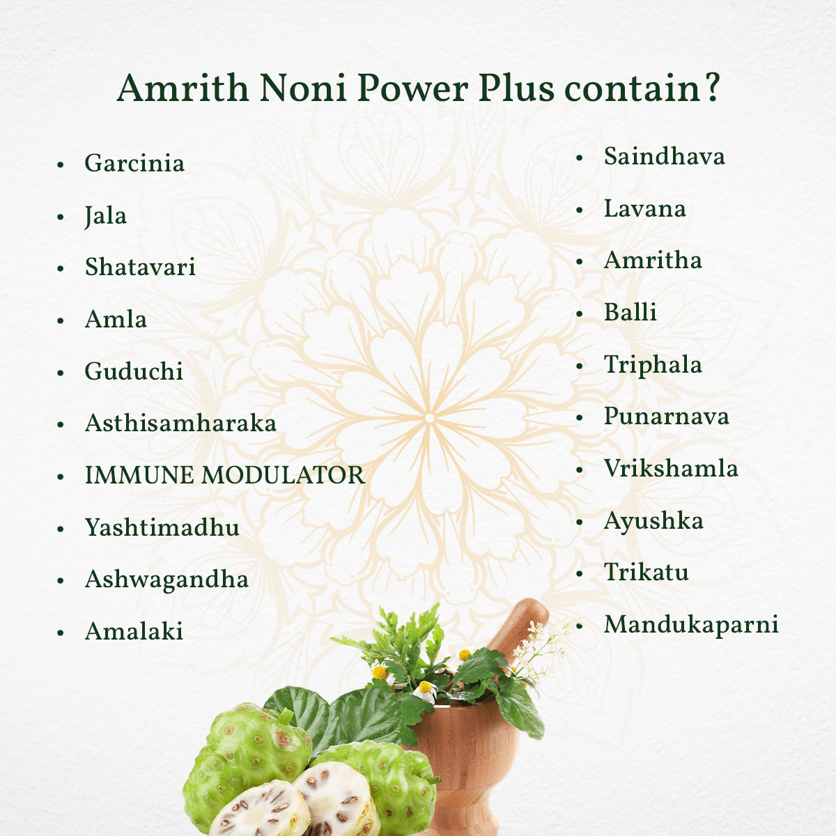 Amrith Noni Power Plus 500 ML - Boost Immunity & Overall Health