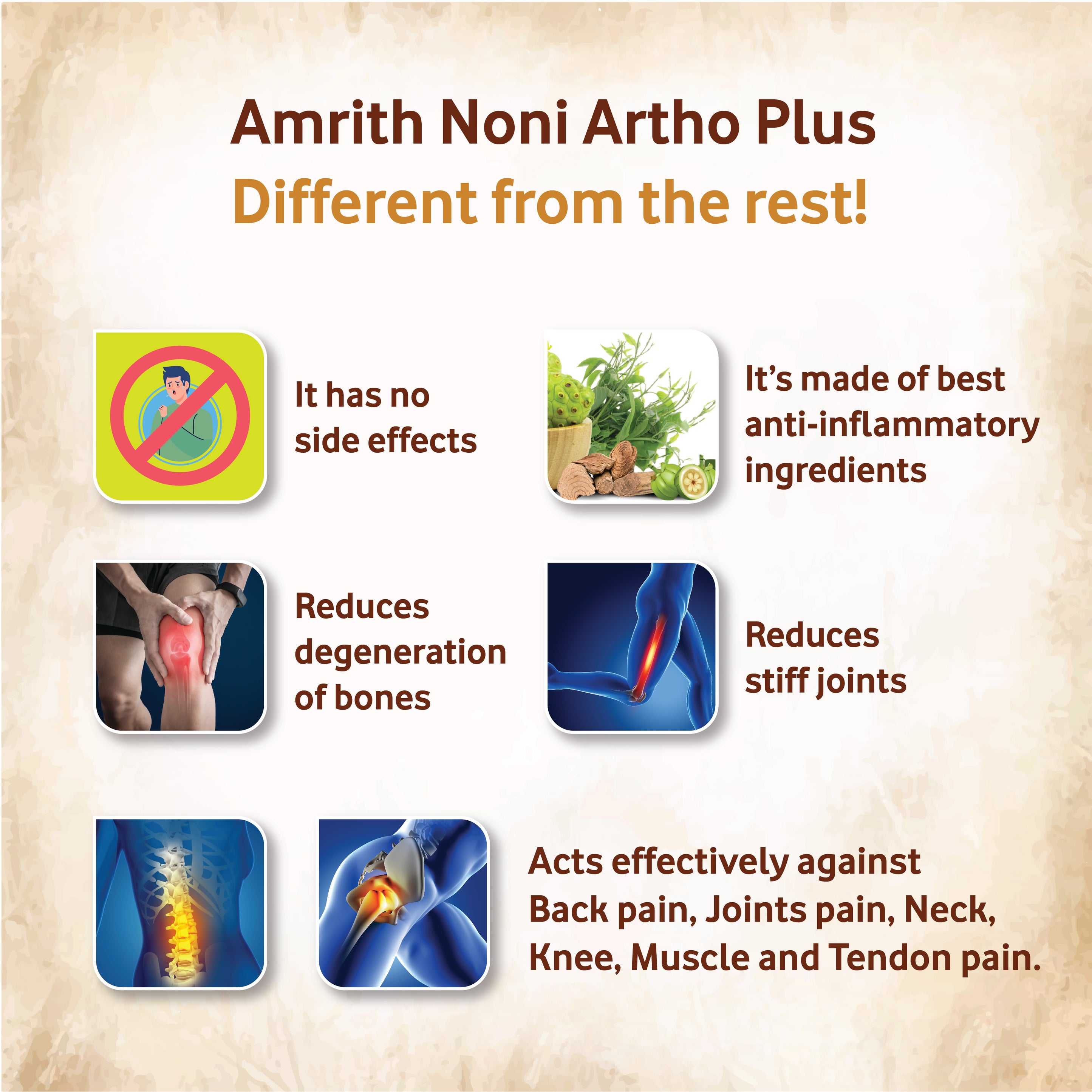 Amrith Noni Artho Plus - Ayurvedic Solution for Joint & Muscle Pain ...