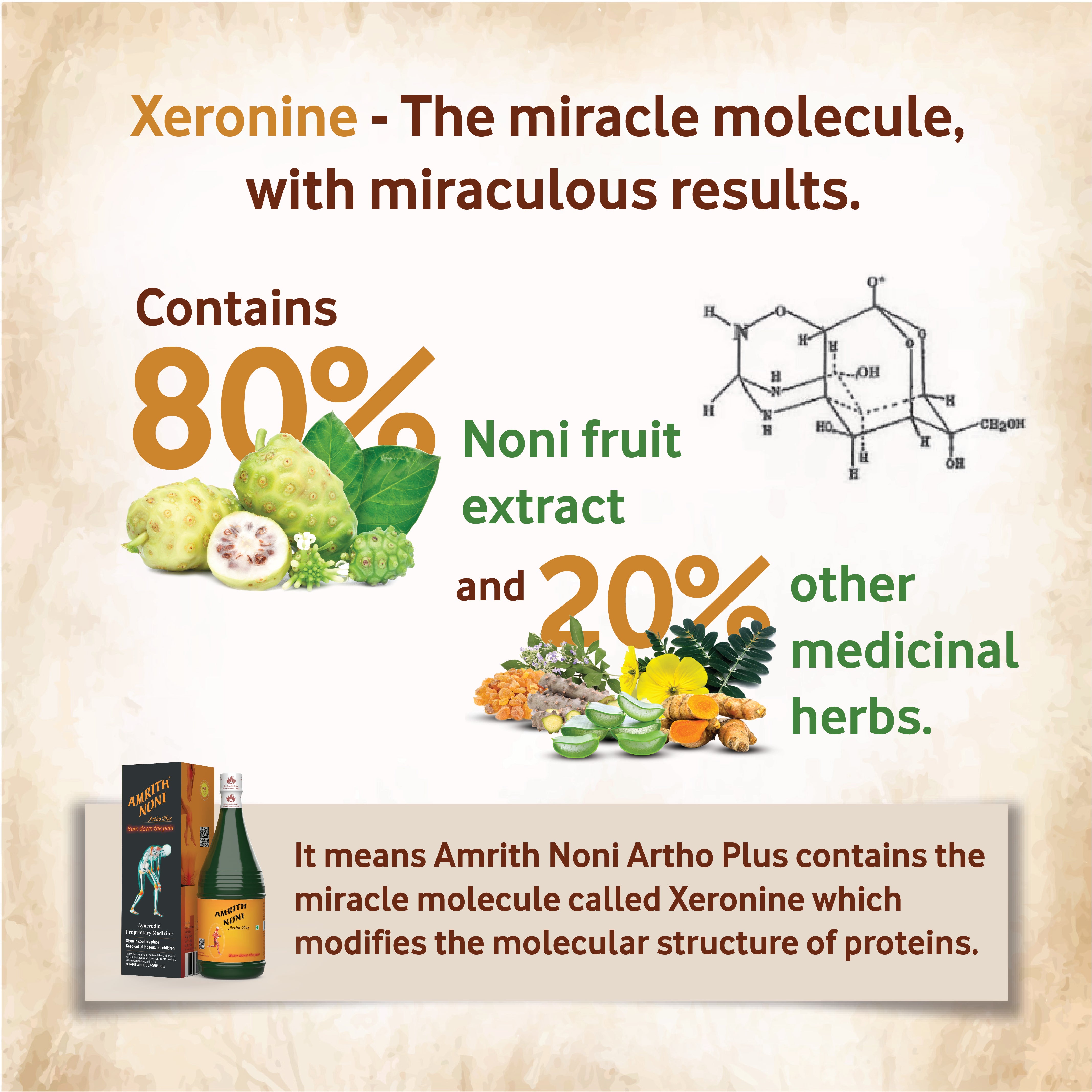 Amrith Noni Artho Plus - Ayurvedic Solution for Joint & Muscle Pain ...