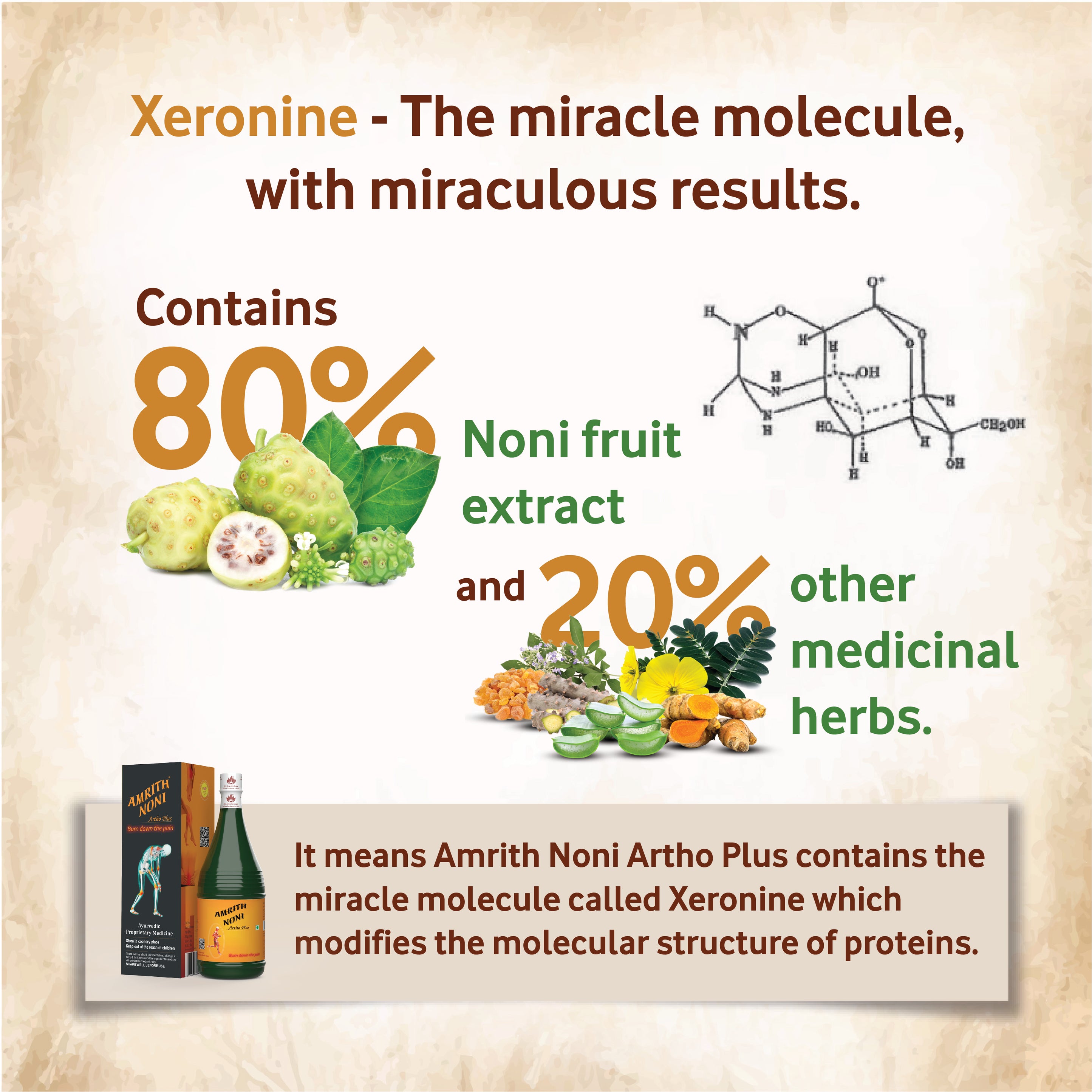 Amrith Noni Artho Plus - Ayurvedic Solution for Joint & Muscle Pain ...