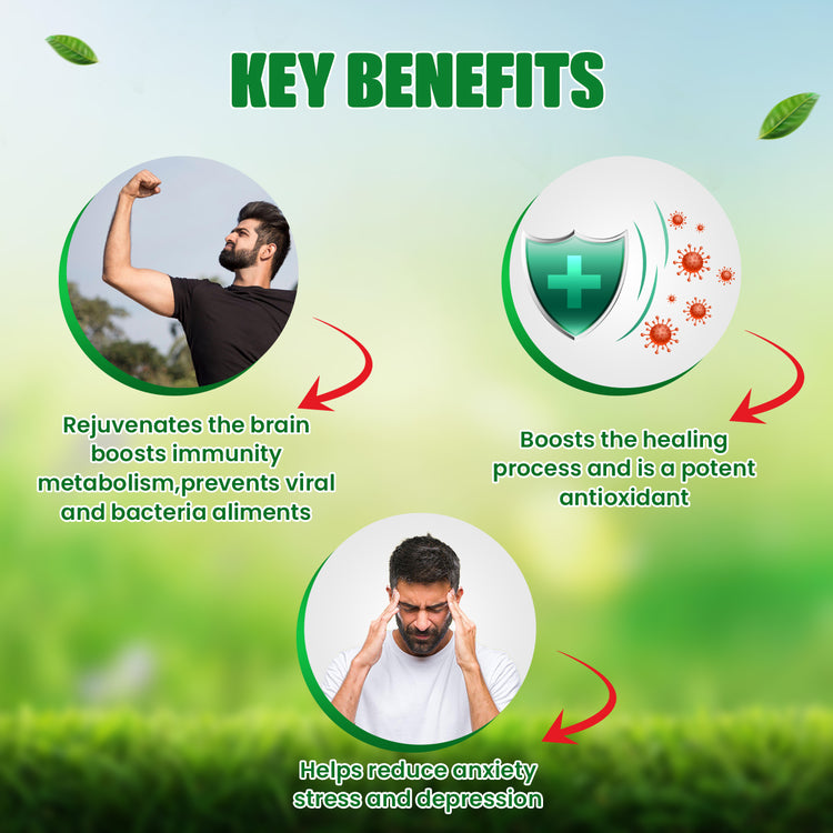 Buy Amrith Noni Power Plus 500 ML to Boost Immune System – AmrithNoni ...